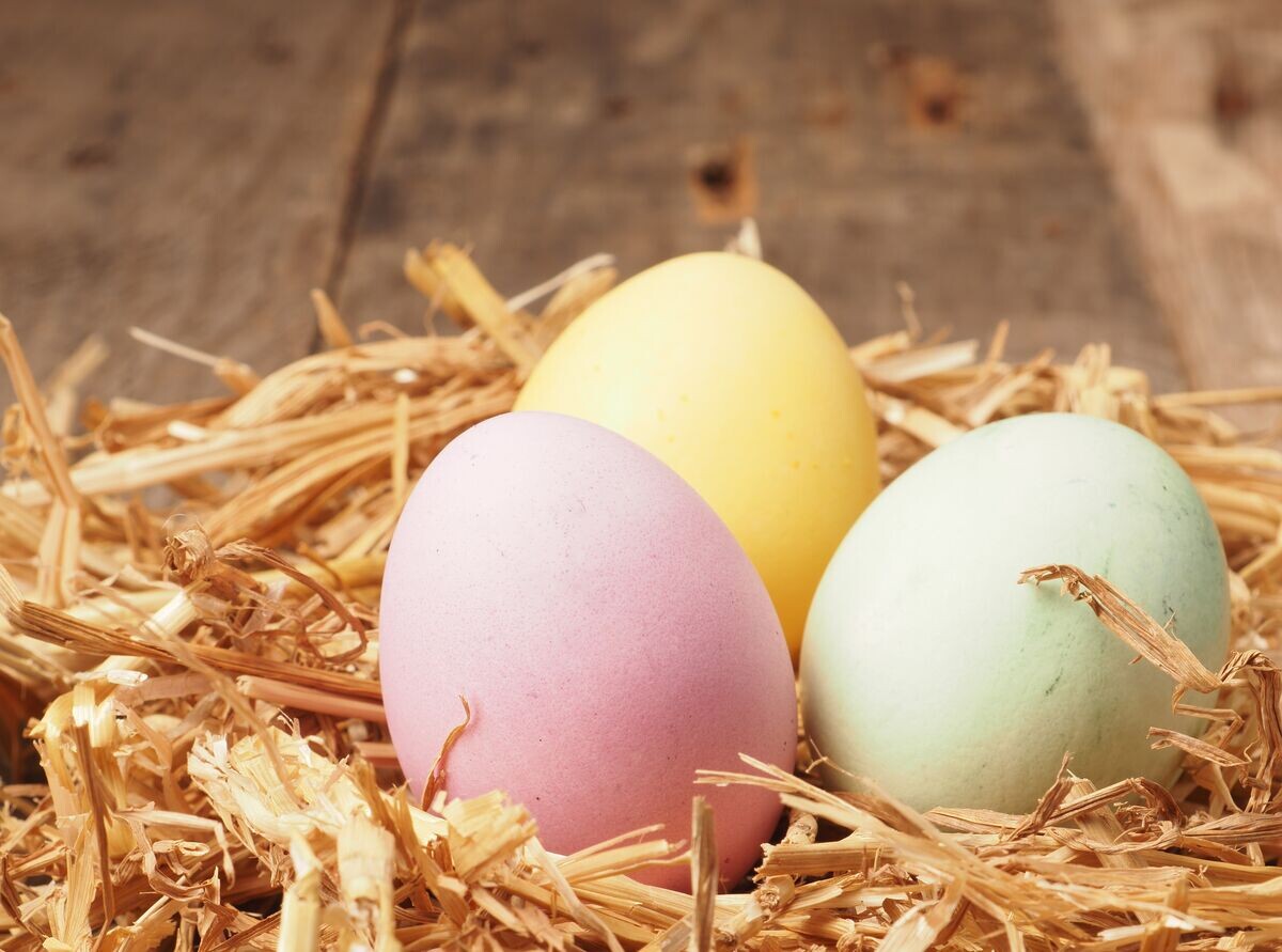 Zu Ostern sind Eier knapp und teuer - Naturschutz und Landschaftsplanung Zu Ostern sind Eier knapp und teuer - Naturschutz und Landschaftsplanung