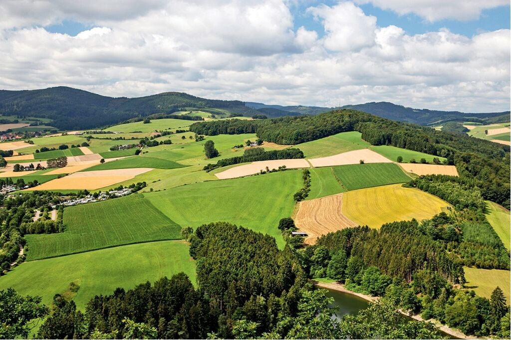 Aktuelles Zum Naturschutz- Und Bauplanungsrecht – Braun Papenburg