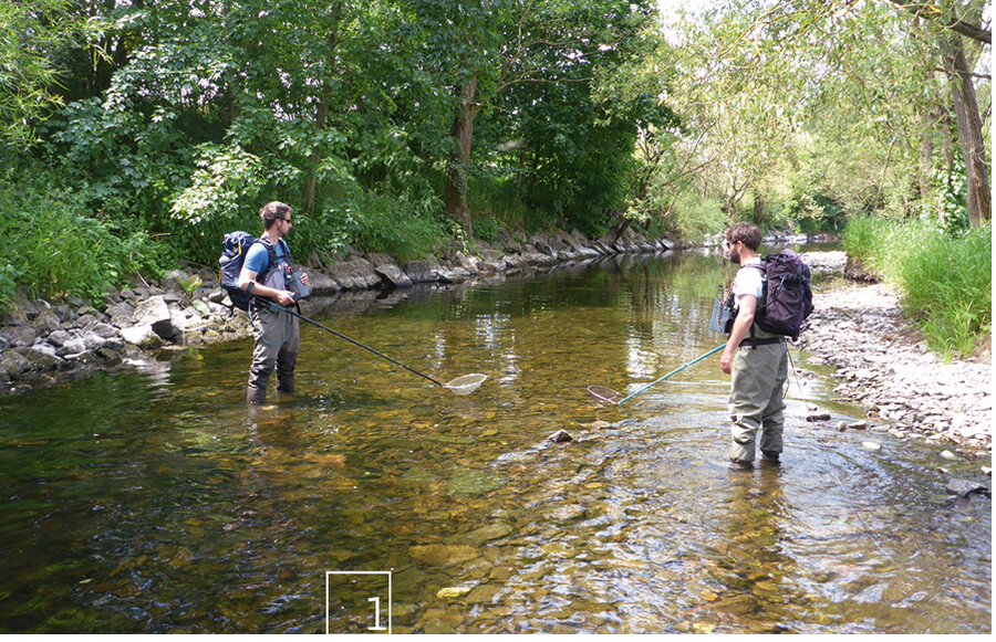Zwei für die Gewässerökologie Lugs Kassel - Naturschutz und ...